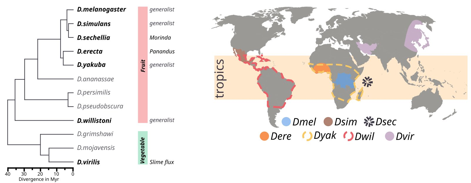 Divergent evolution of sleep functions – gilestro laboratory